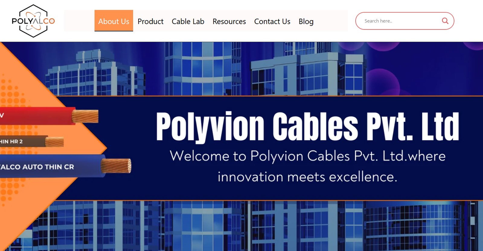 Special Single Core - Polyvion Cables Pvt Ltd